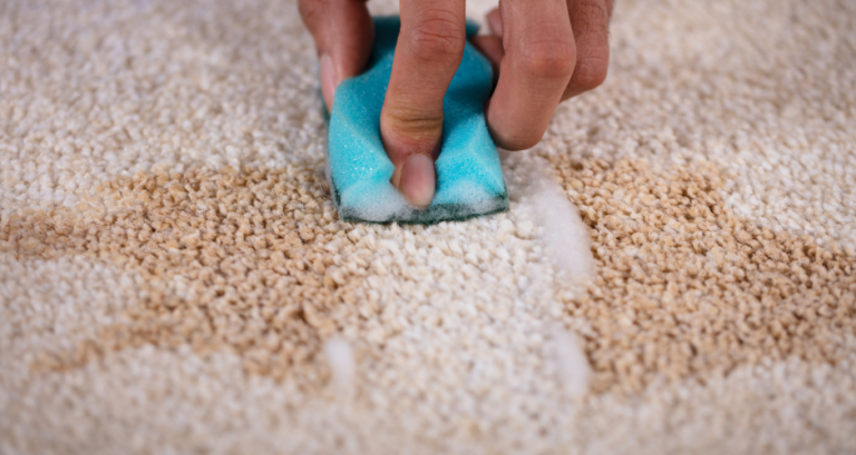 How to Remove Tough Stains from Carpet? Updated Guide